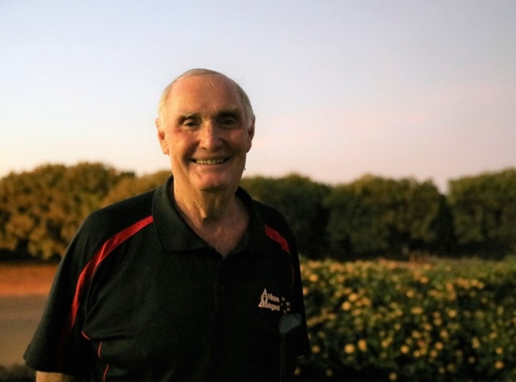 Palladium - It Takes More Than Two to Mango