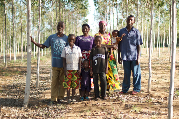 How Komaza, the “Uber of Forestry”, is Revolutionising Timber ...