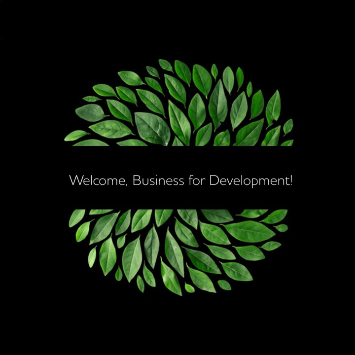 Palladium Takes on Business for Development