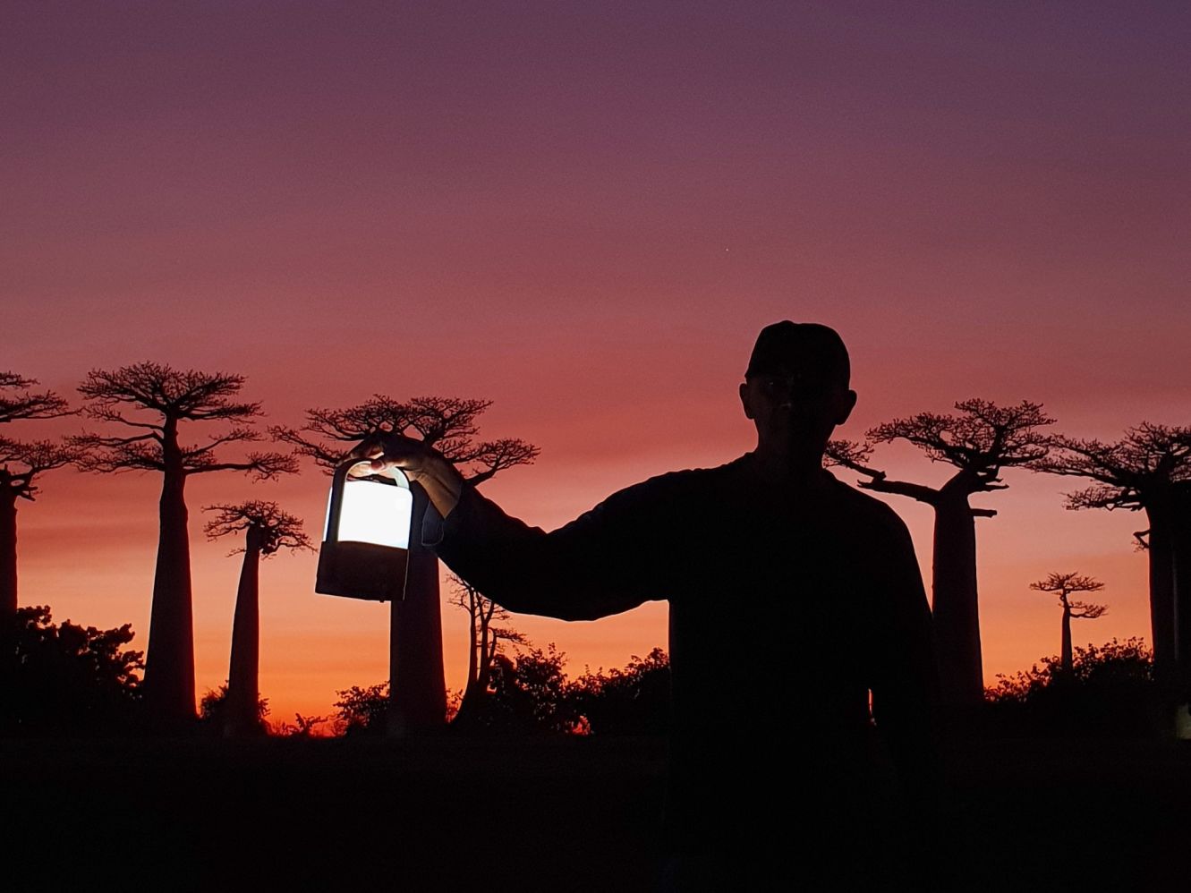 Touching 9 Million Lives: Bamboo Capital Partners Releases 2020 Impact ...