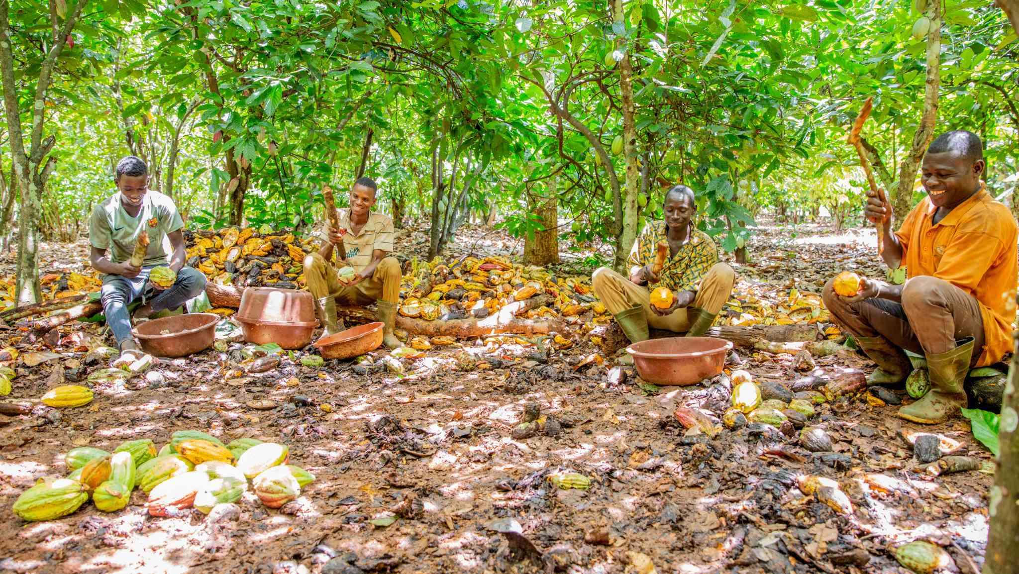 Supporting Small Businesses and Global Economies with Microfinance ...