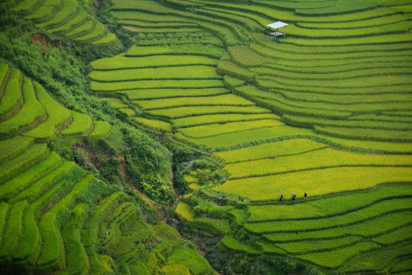 New Report Reveals Early Wins in Vietnam’s Carbon Market Push
