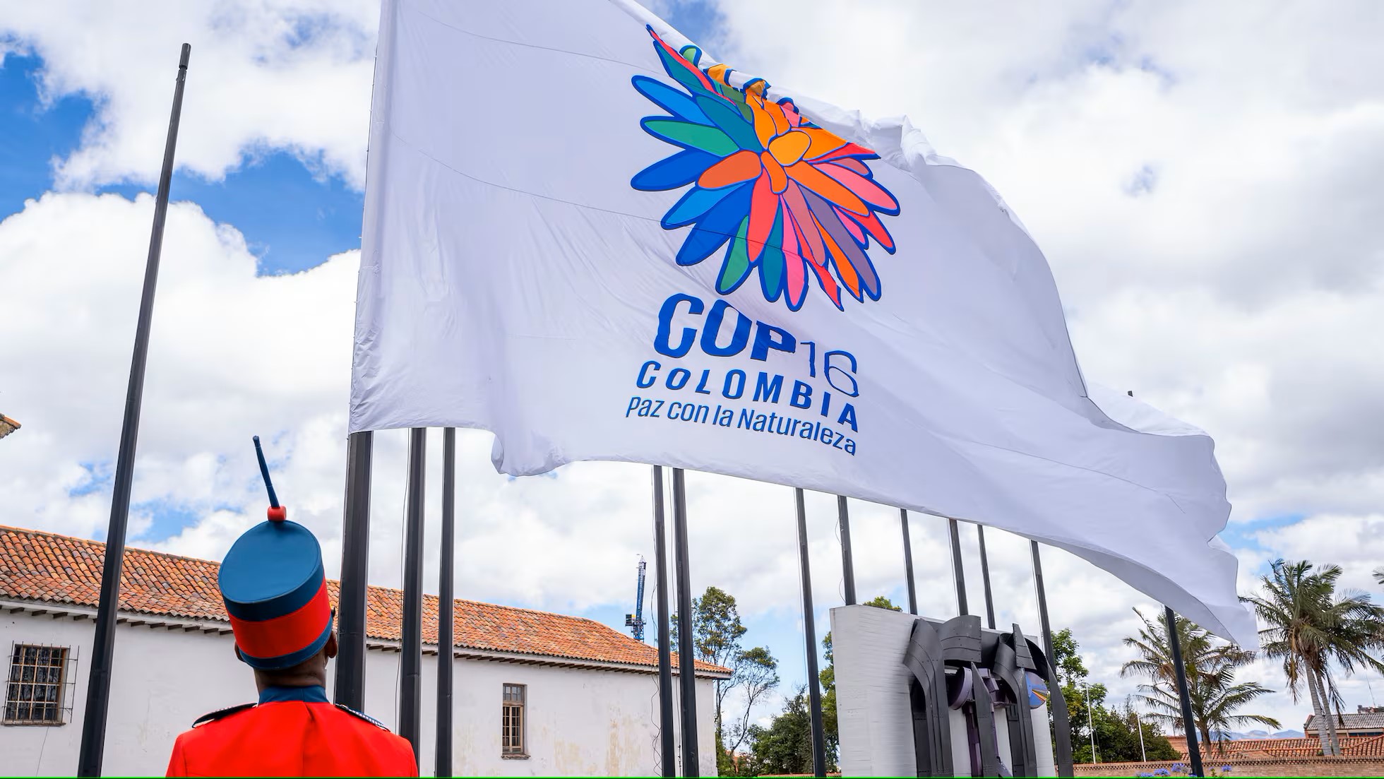 Only 33 of 196 Countries Arrive at COP16 with Biodiversity Action Plans