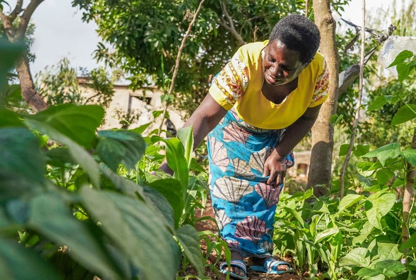 Healthy Soils for Improved Livelihoods: Malawi's Magic Soil