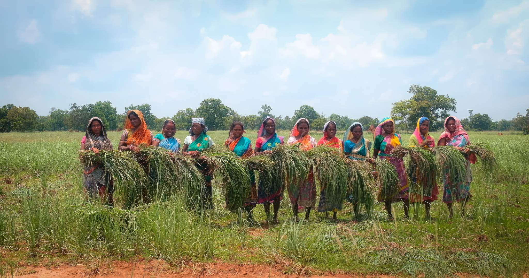 From Mayurbhanj to Paris: How Tribal Farmers in India Found Success ...
