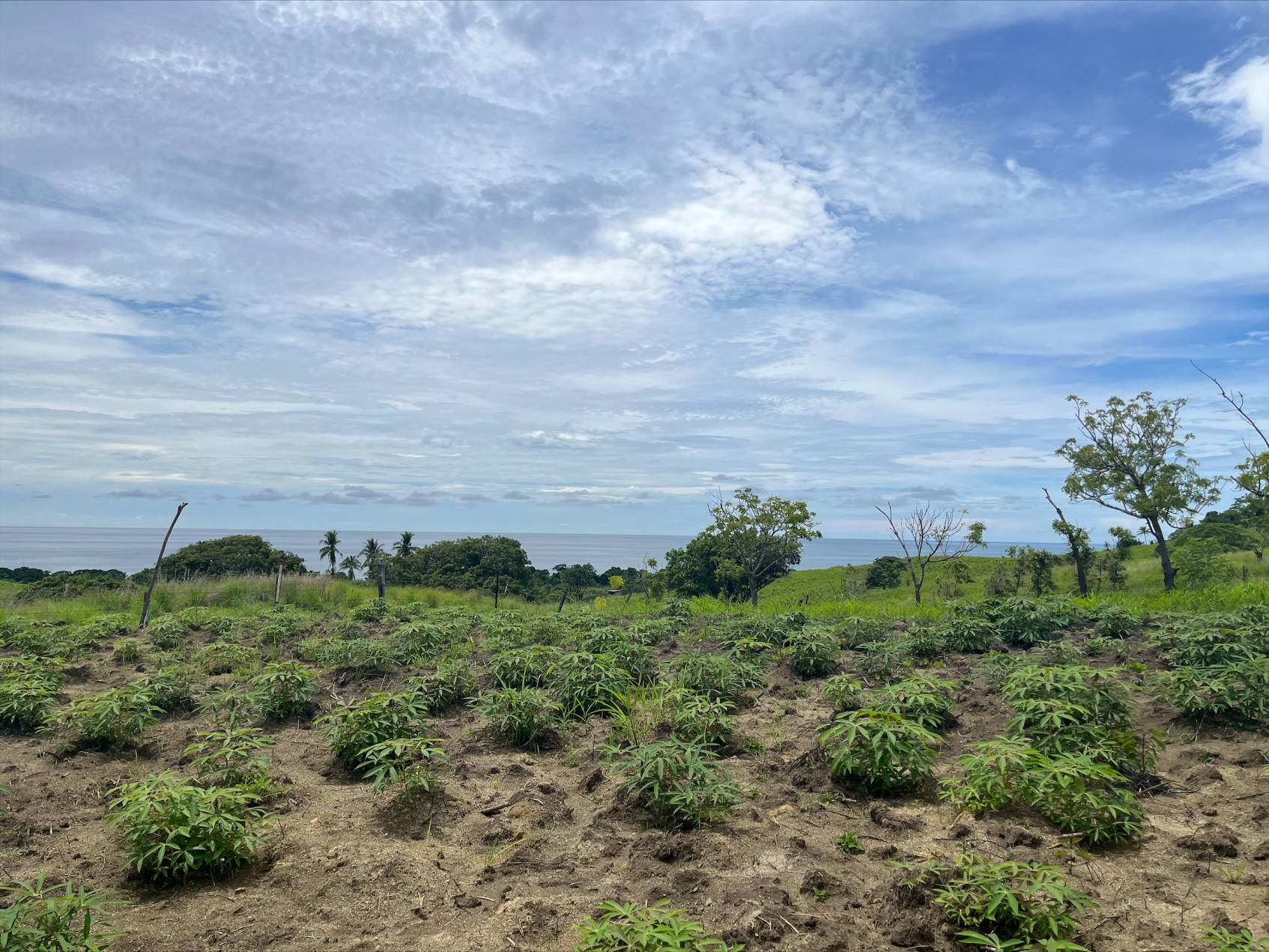 The People of Yule Island Need Running Water, and the Chance to Do it ...