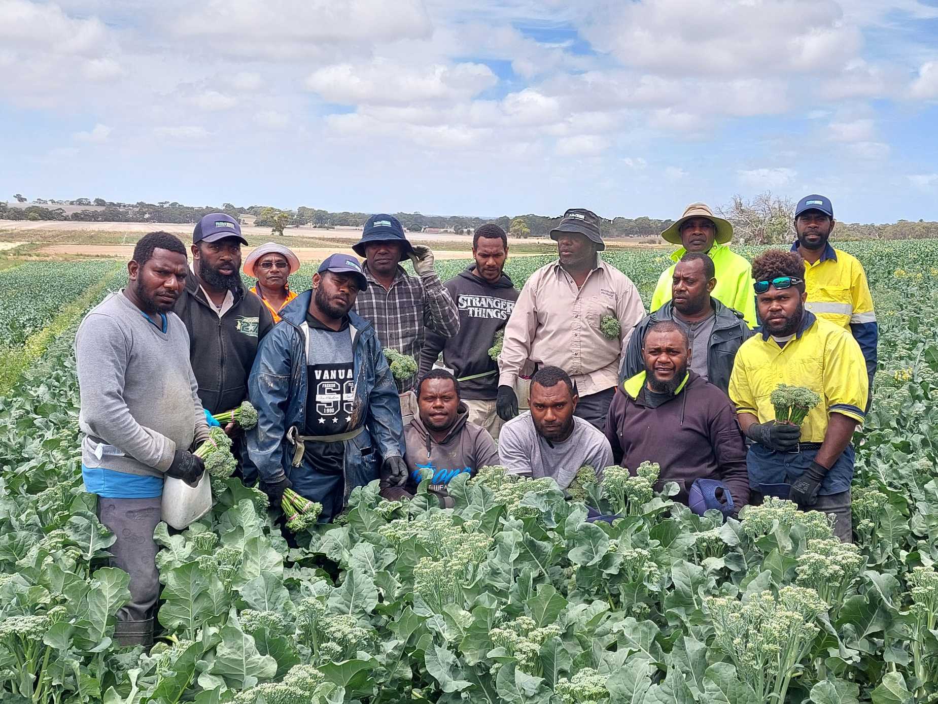 From Broccolini Fields to Standing Ovations – How a Group of Seasonal ...
