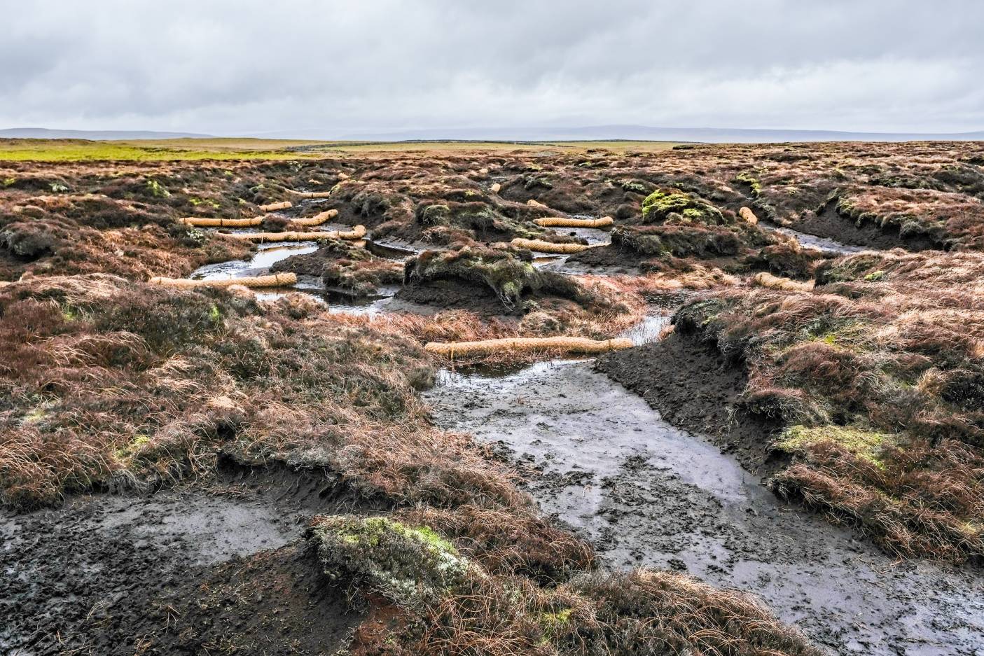 Partnering For Nature: Palladium and UK National Parks Secure Funding ...