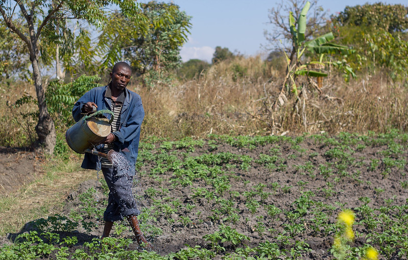 Agricultural Industry Partnerships for Economic Growth – Palladium Wins ...