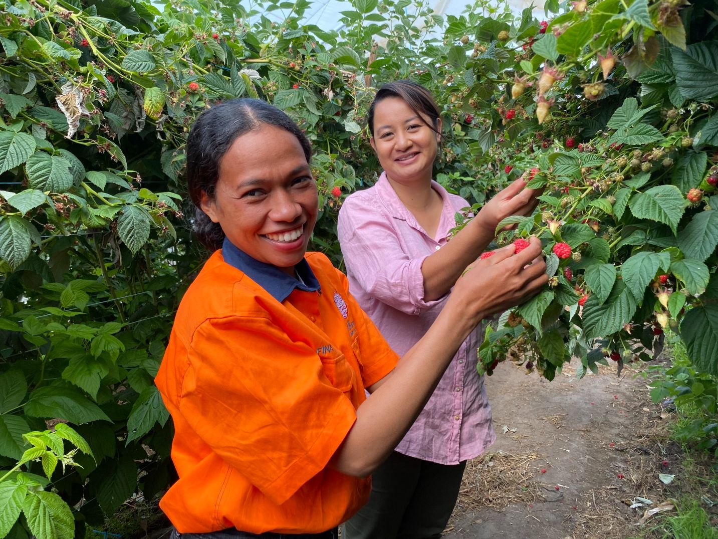 Pacific Australia Labour Mobility Reaches Worker Milestone Ahead of ...