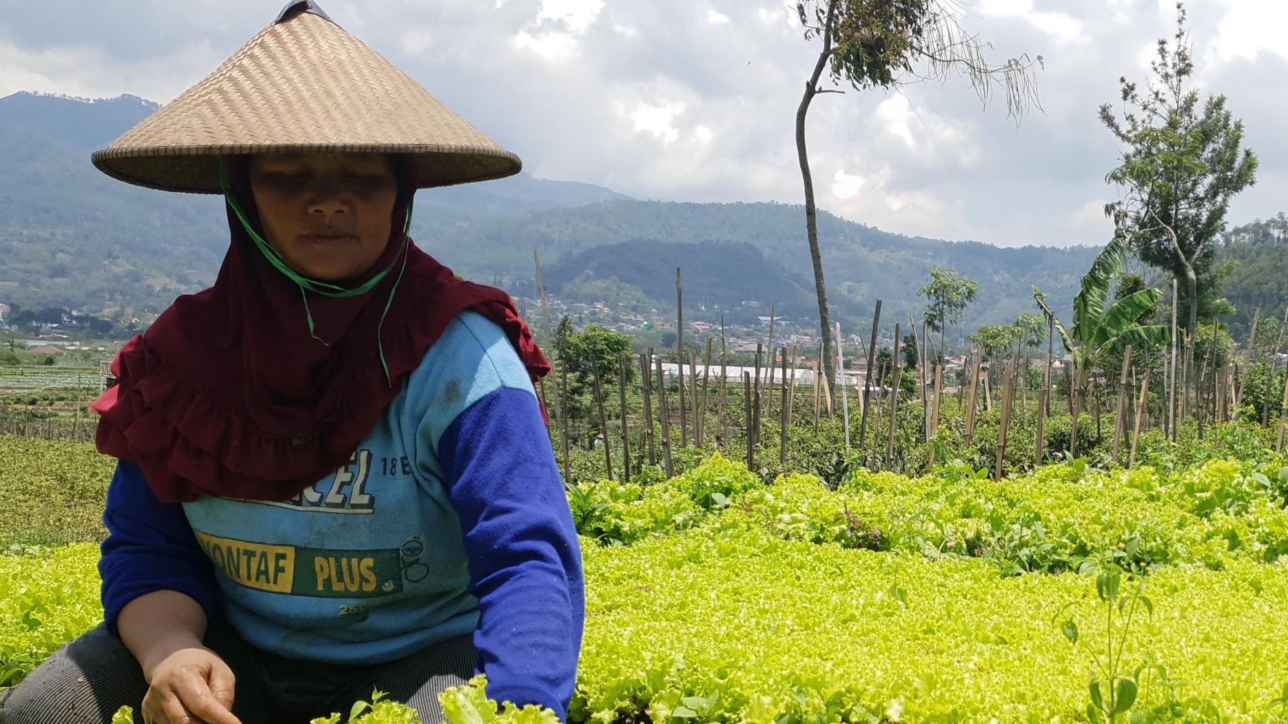 Protracted War in Ukraine Hits Farm Supplies Around the World